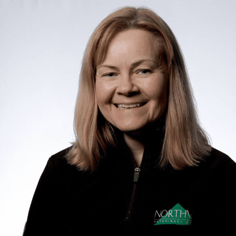 Meet the team – Northvet