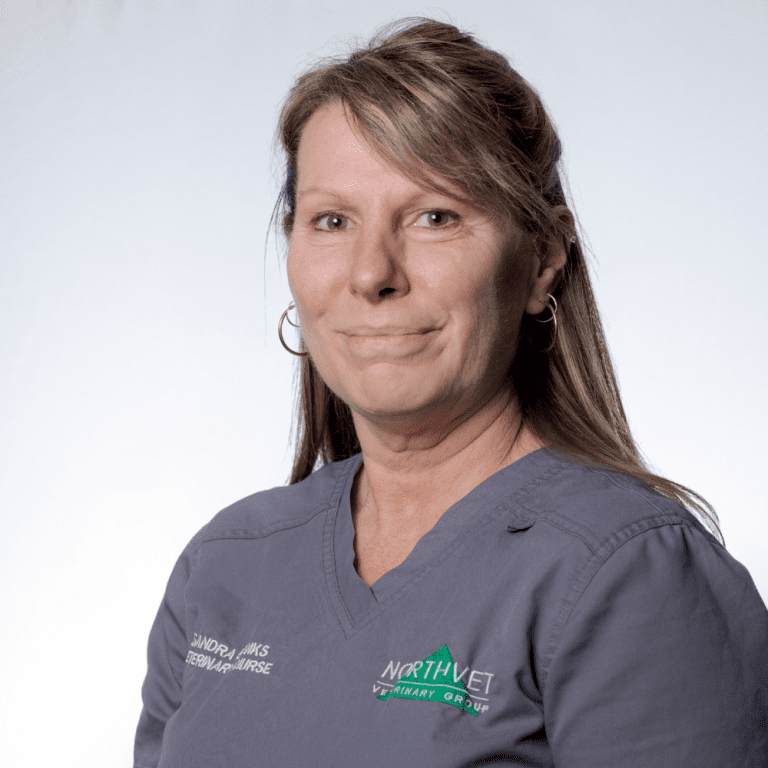 Meet the team – Northvet