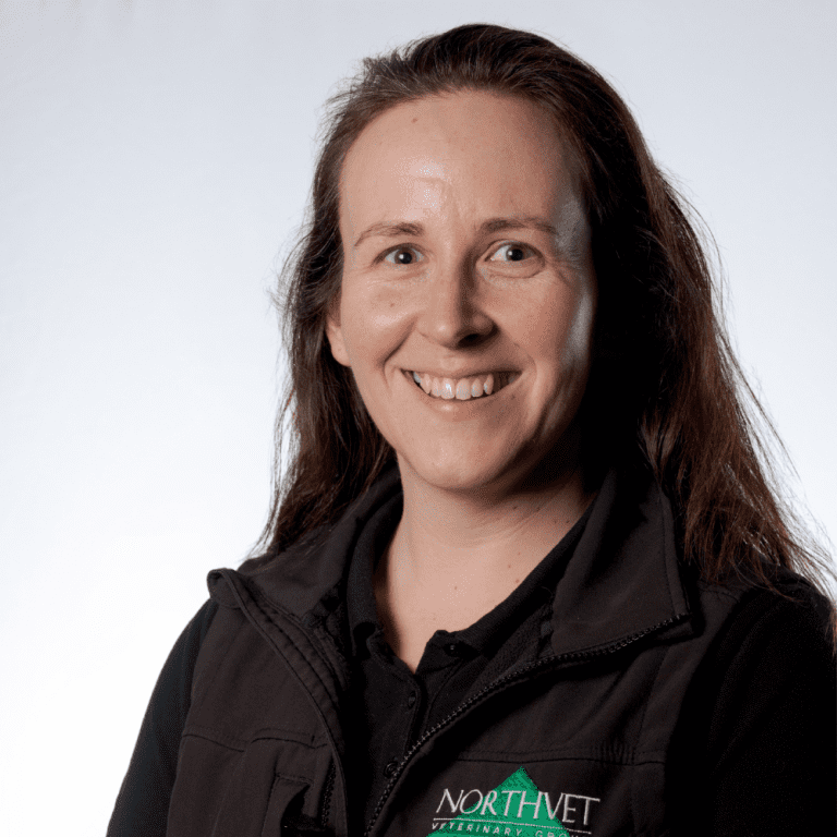 Meet the team – Northvet